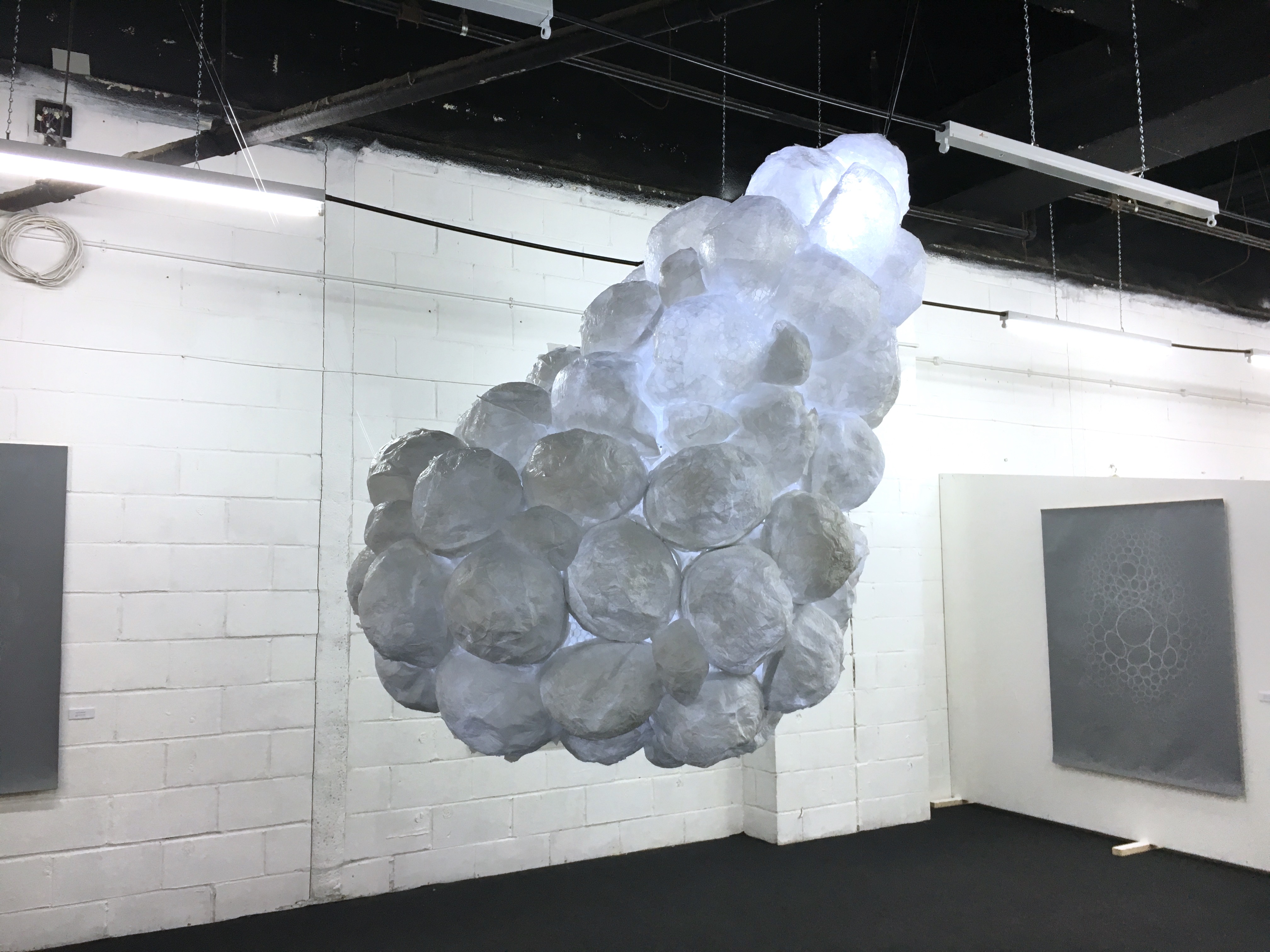 BLOOMING – gloria sulli